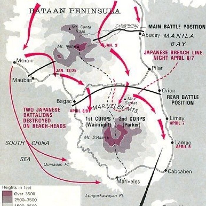 194th Tank Battalion - Bataan Project 4